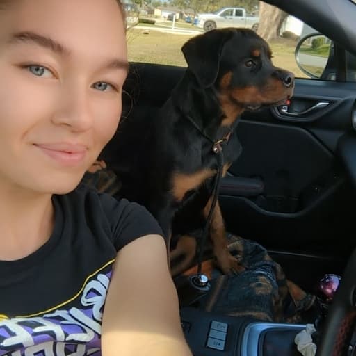 Real Dog Box: Monthly Dog Nutrition Discovery Box