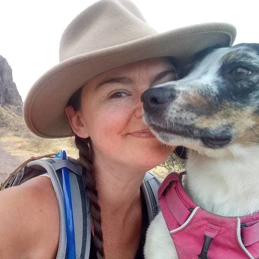 Chew Only Box: Ultimate Dog Engagement | Real Dog