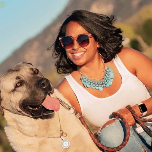 Real Dog Box: Monthly Dog Nutrition Discovery Box