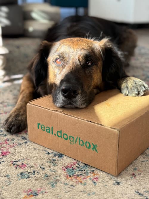 Real Dog: Premium Air-Dried Dog Treats & Chews | Made in San Diego