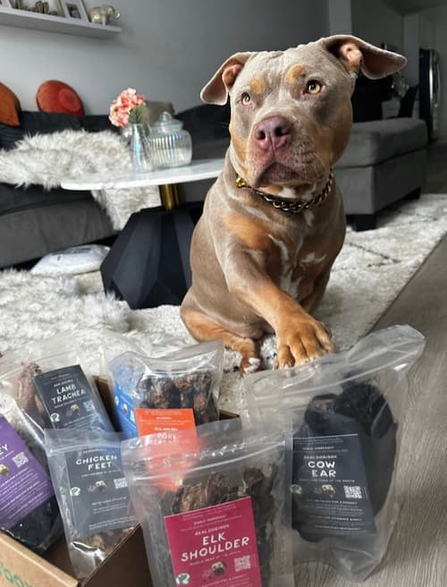 Real Dog New Customer Deals | Exclusive Offers for Your Dog's Delight!