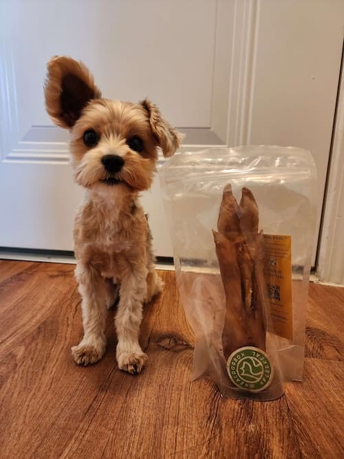 Real Dog Super Chew: Ultimate Workout for Power Chewers