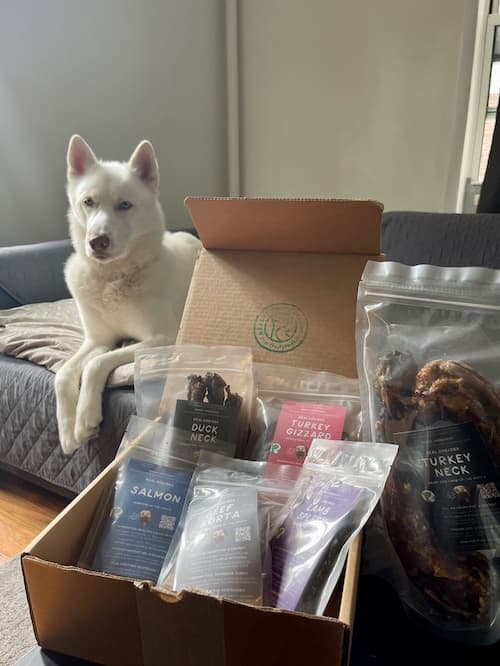 Fresh, All-Natural Dog Treat & Chew Box: Spice Up Your Pup's Diet!