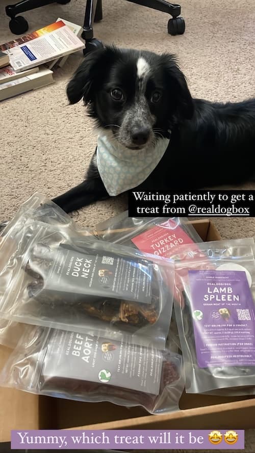 Fresh, All-Natural Dog Treat & Chew Box: Spice Up Your Pup's Diet!