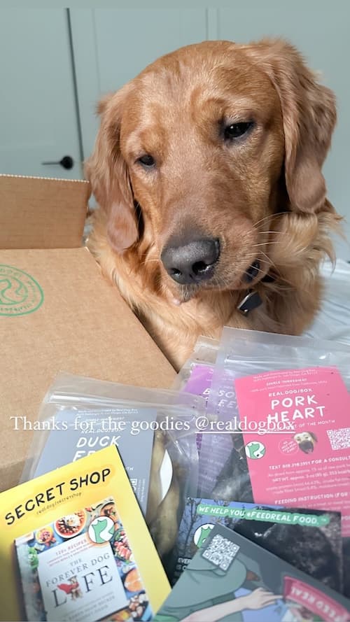 Fresh & Healthy Dog Treats Delivered Monthly | Real Dog Treat Box